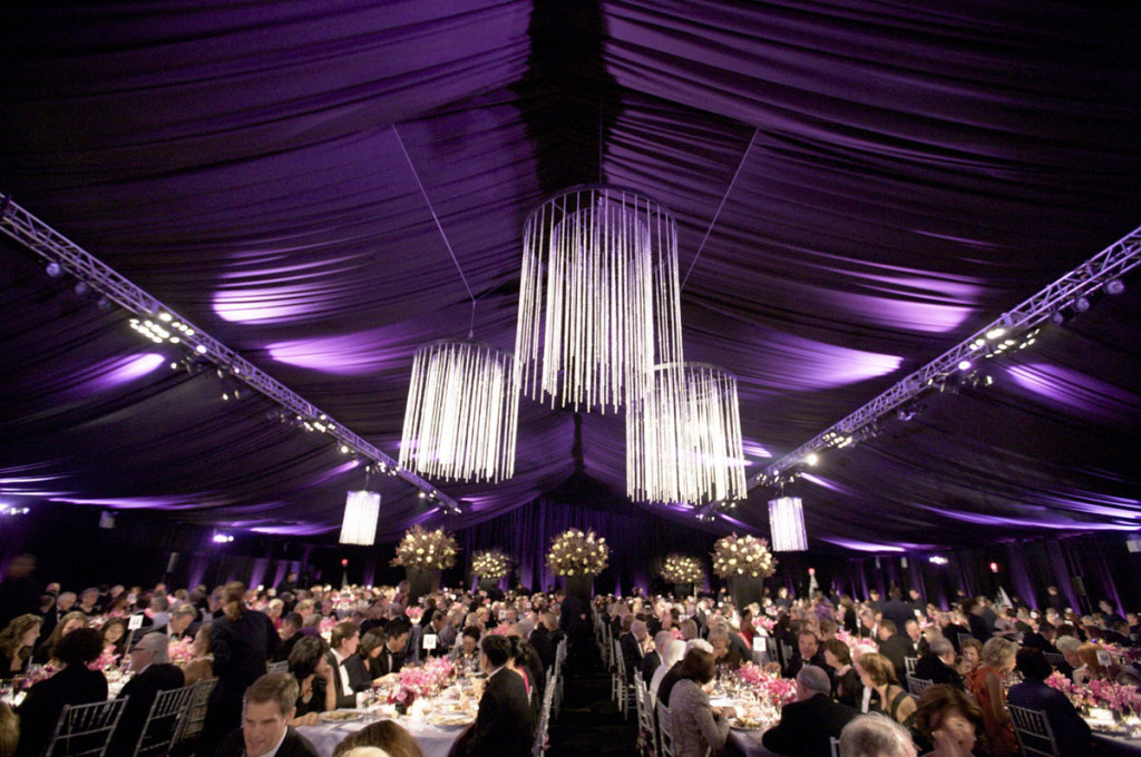 Purple Ceiling Treatment - Custom | Drape Kings